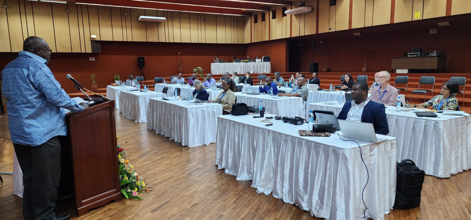 Heads and Managers of ARUA Centres of Excellence meet in Mauritius - ARUA